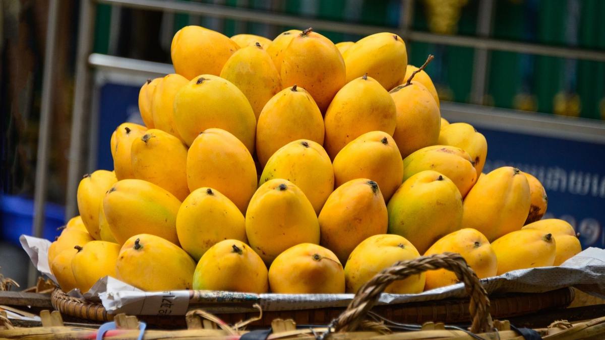 What is Pakistan's national fruit? | FA Ques – Simple Answers